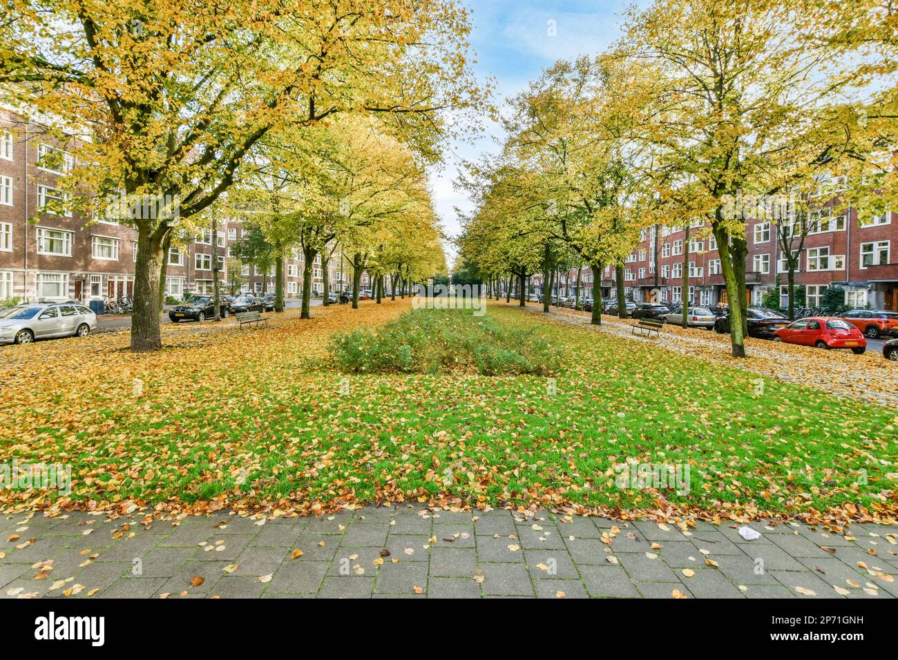 leaves on the ground in front of some buildings and trees with yellow ...