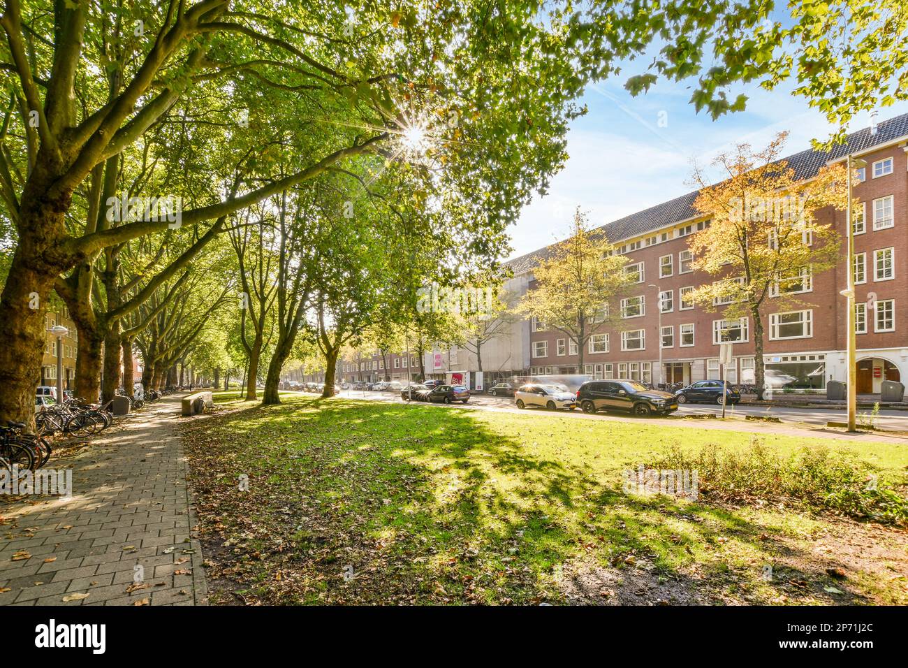 a tree lined street with cars parked on the side and buildings in the ...
