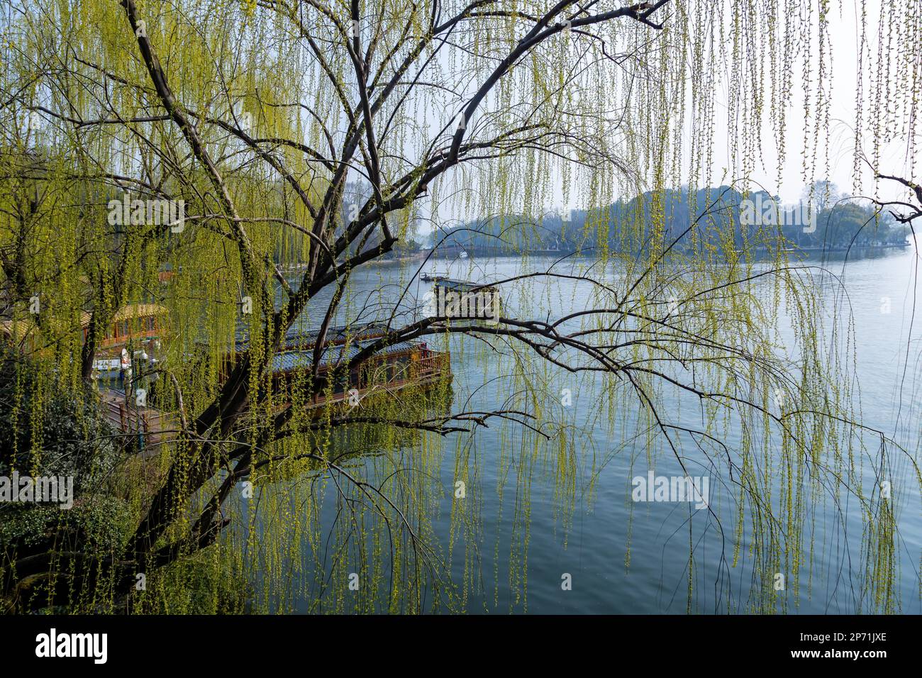 Beautiful spring scenery of the West Lake scenic area attract many ...