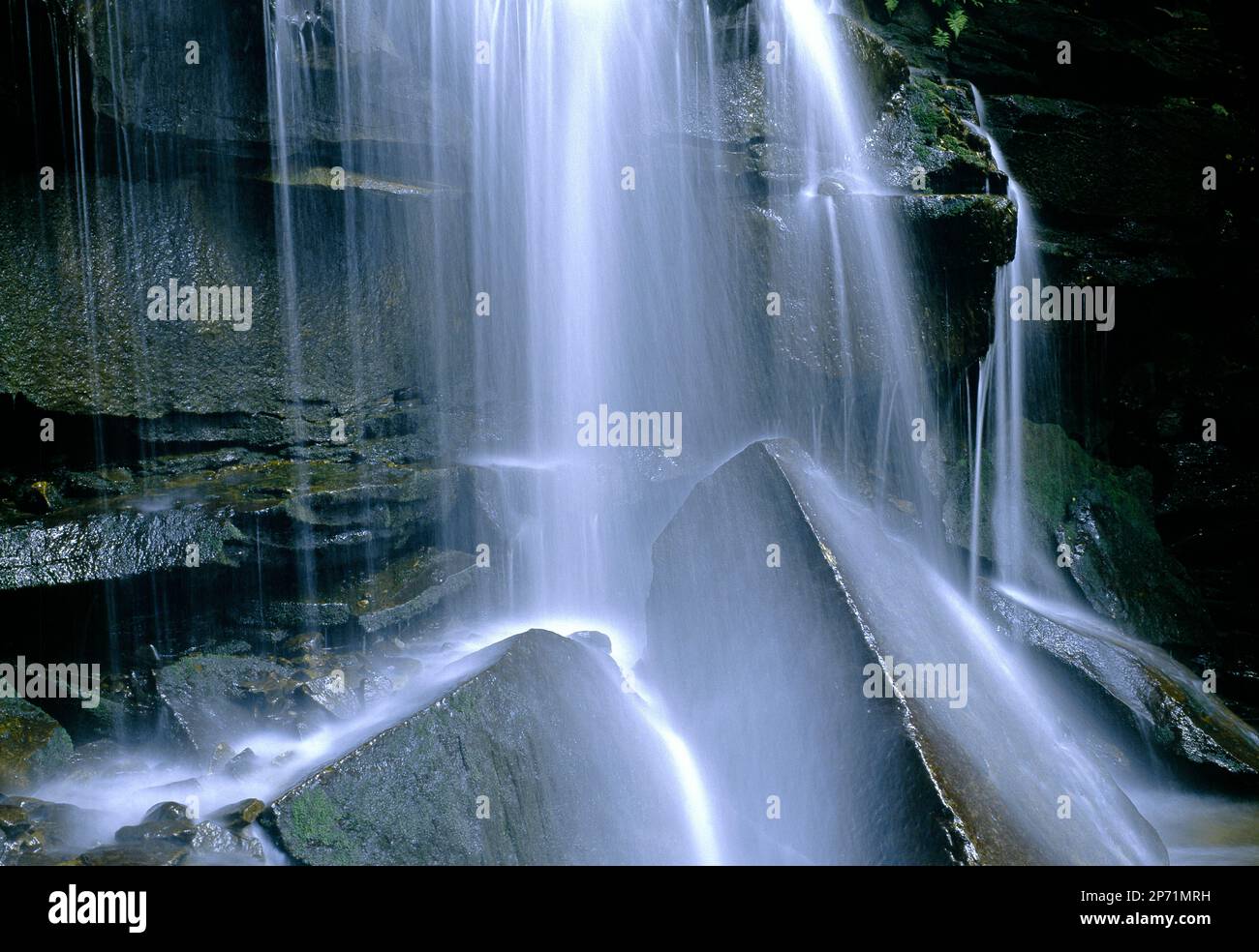 Dutchman Falls, also known as Amber Falls, in Loyalsock State Forest ...