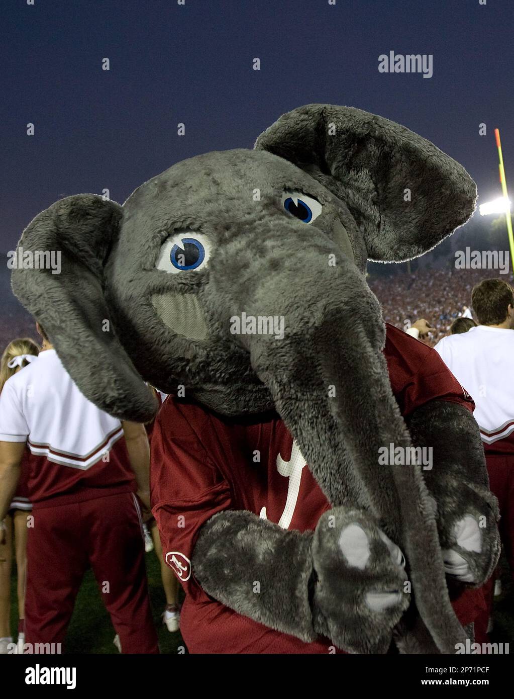 The Alabama mascot during the 2010 BCS national championship game at ...