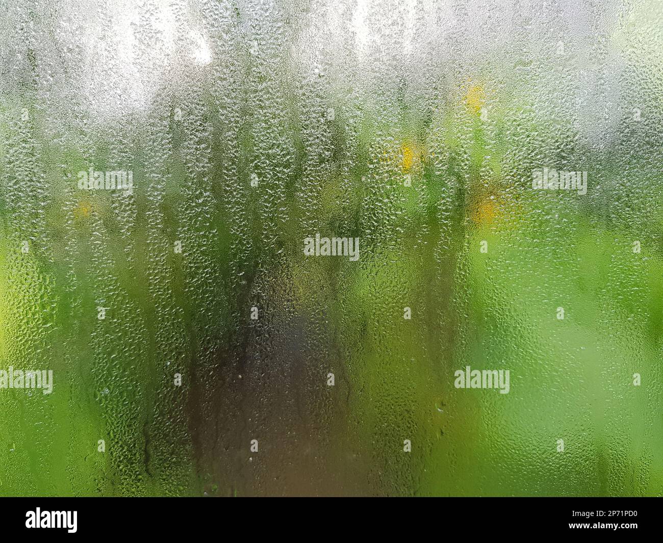 Foggy window glass with green nature background Stock Photo - Alamy