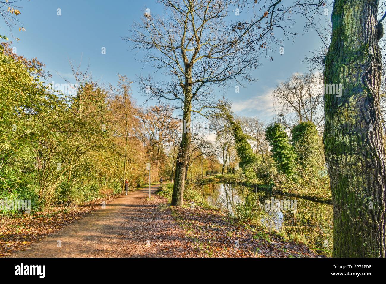 Amsterdam, Netherlands - 10 April, 2021: a path in the woods with trees ...