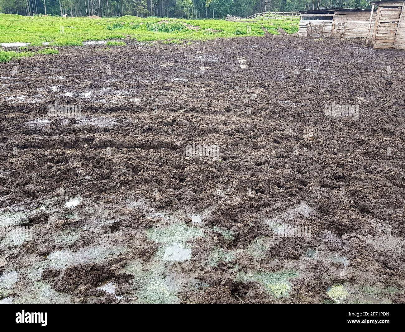 Environmental texture hi-res stock photography and images - Alamy