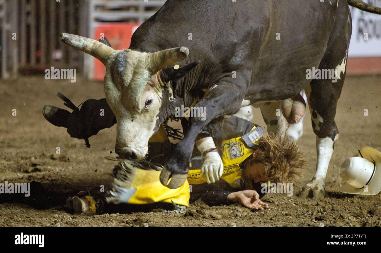 September 12, 2011: A cowboy gets plowed after getting bucked off ...