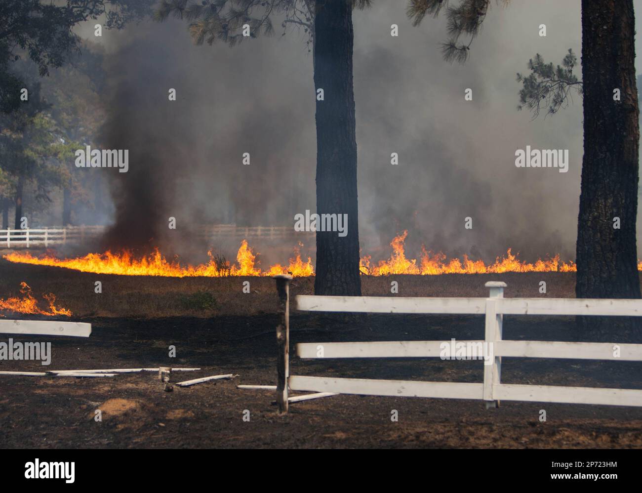 A wildfire burns through a field Saturday, Sept. 10, 2011 in Magnolia ...
