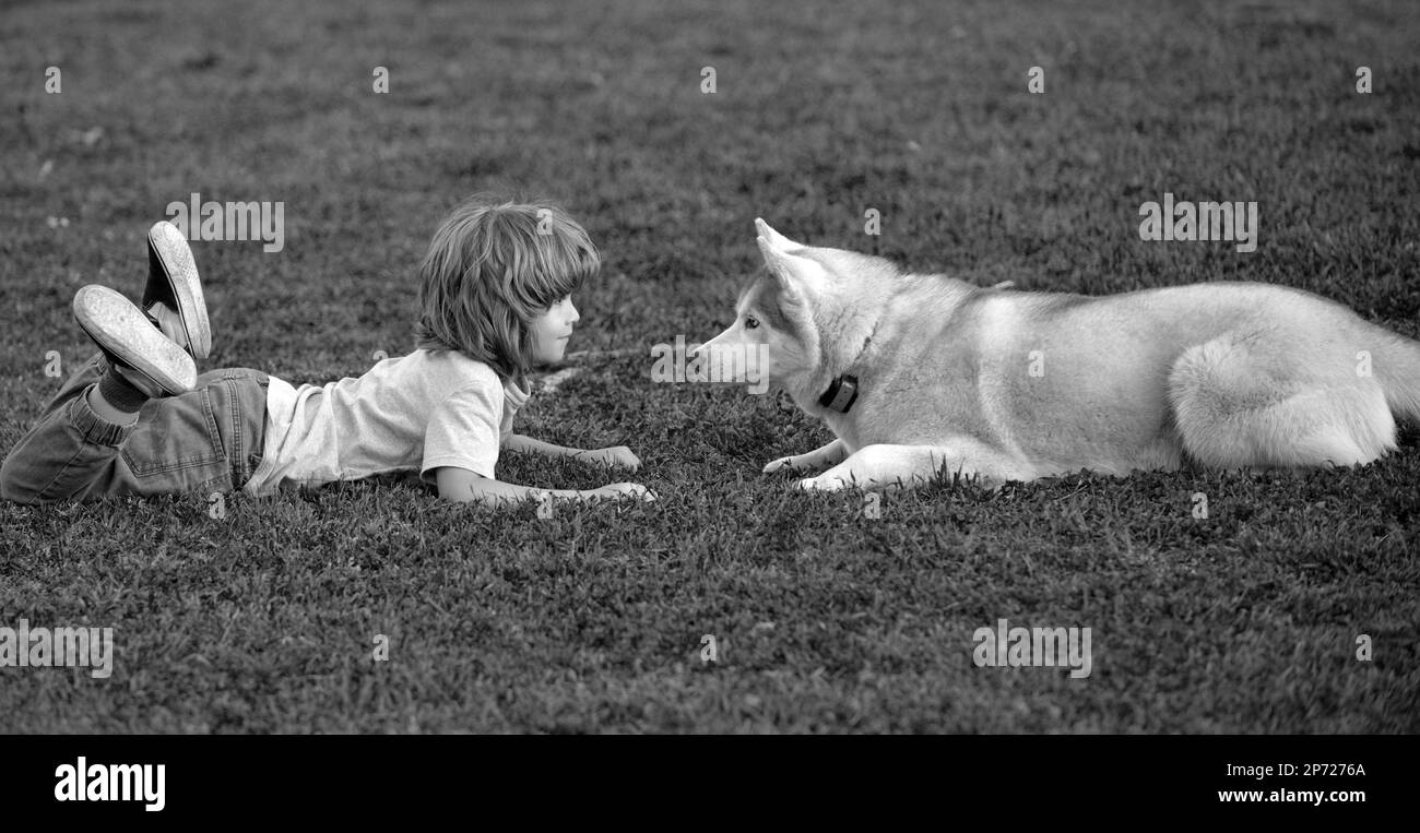 Child with a dog. Kid with a puppy dog outdoor playing at backyard lawn ...