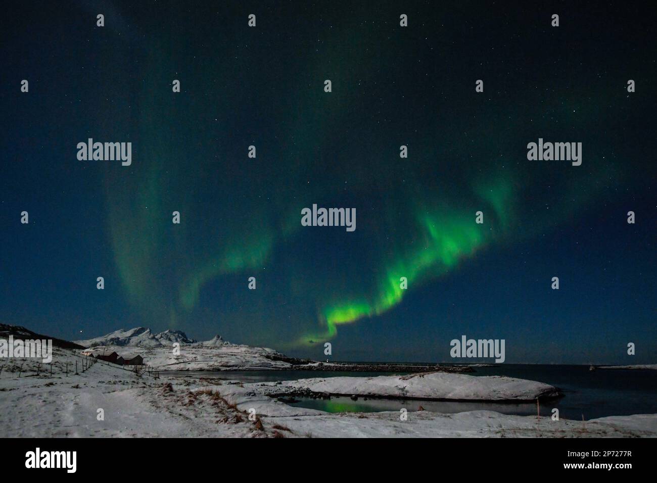 Bright Green Colours of the Northern Light, Aurora Borealis illuminate ...