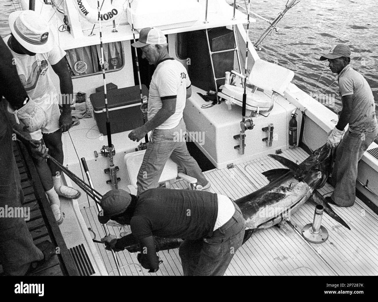 People load a fish on board during the Ernest Hemingway International ...