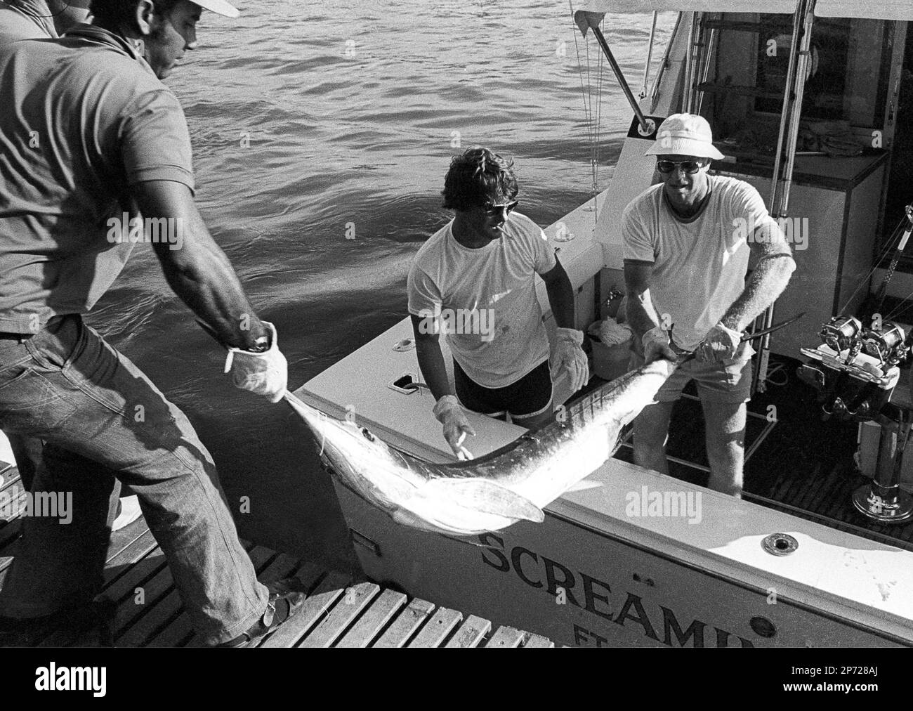 People load a fish on board a boat during the Ernest Hemingway ...