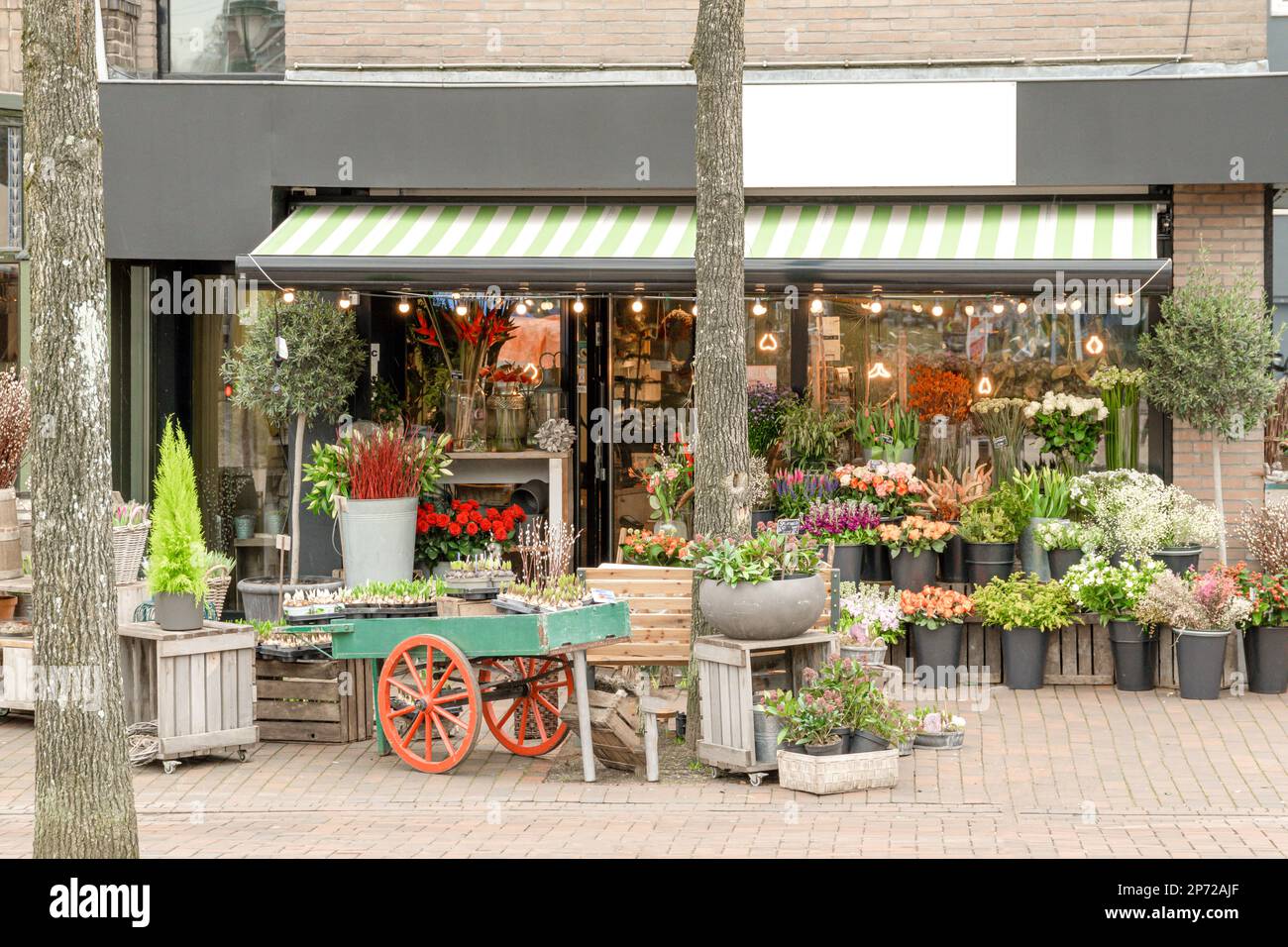 Amsterdam, Netherlands - 10 April, 2021: a flower shop with lots of ...