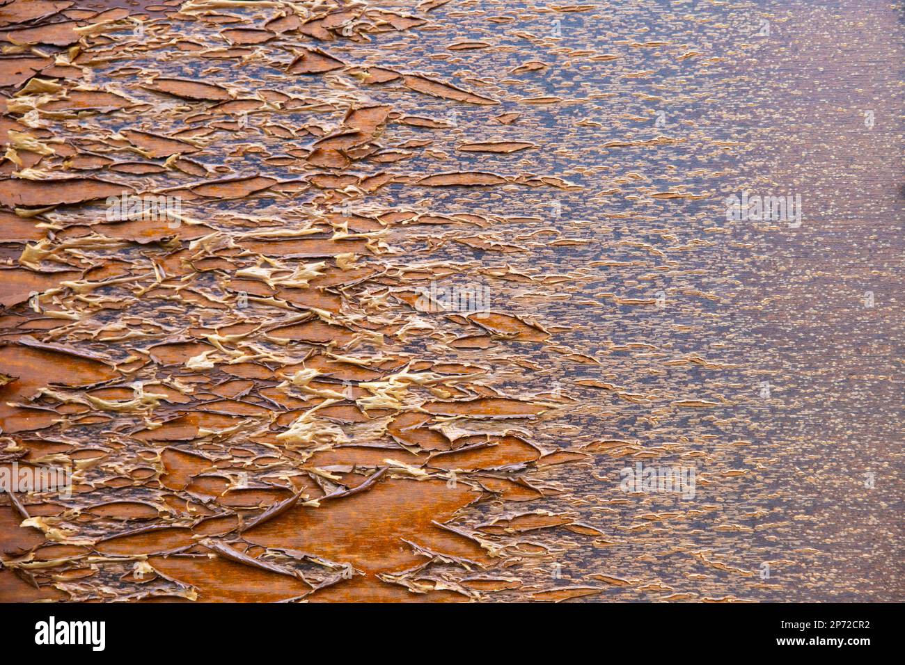 Brown plastic surface with peeling brown pvc vinyl film texture ...