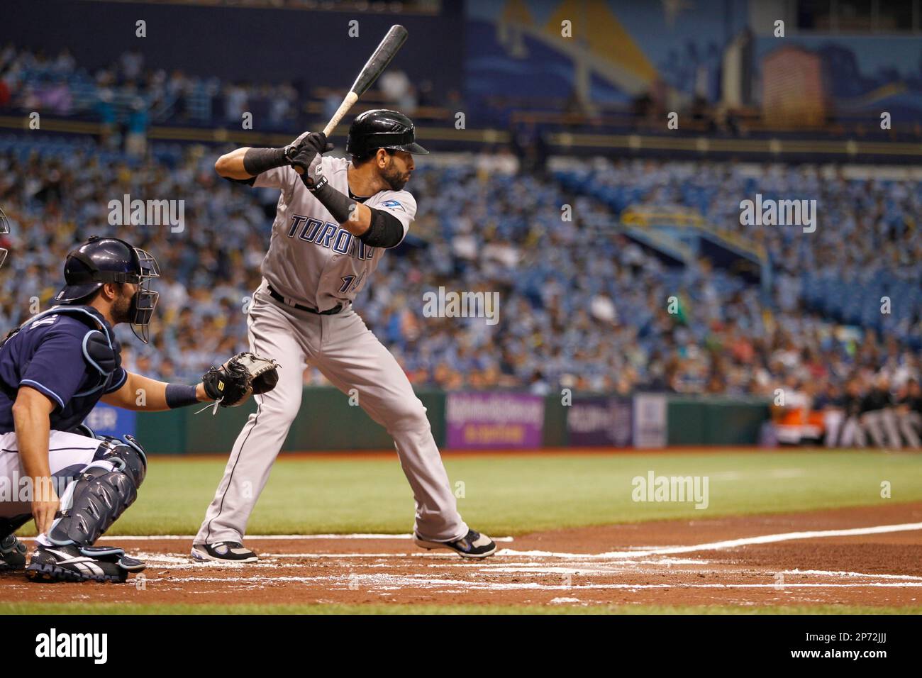 Toronto Blue Jays Jose Bautista in a game against the Tampa Bay Rays at ...