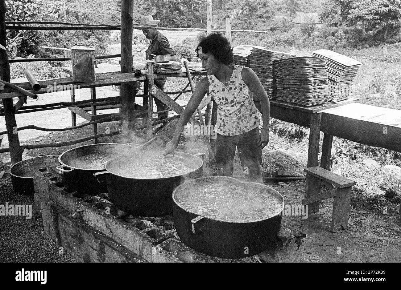 A woman prepares food in an outdoor kitchen in Santo Domingo, Cuba ...