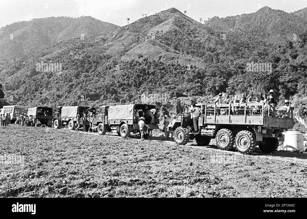 A caravan of trucks transport a group of people through the Sierra ...