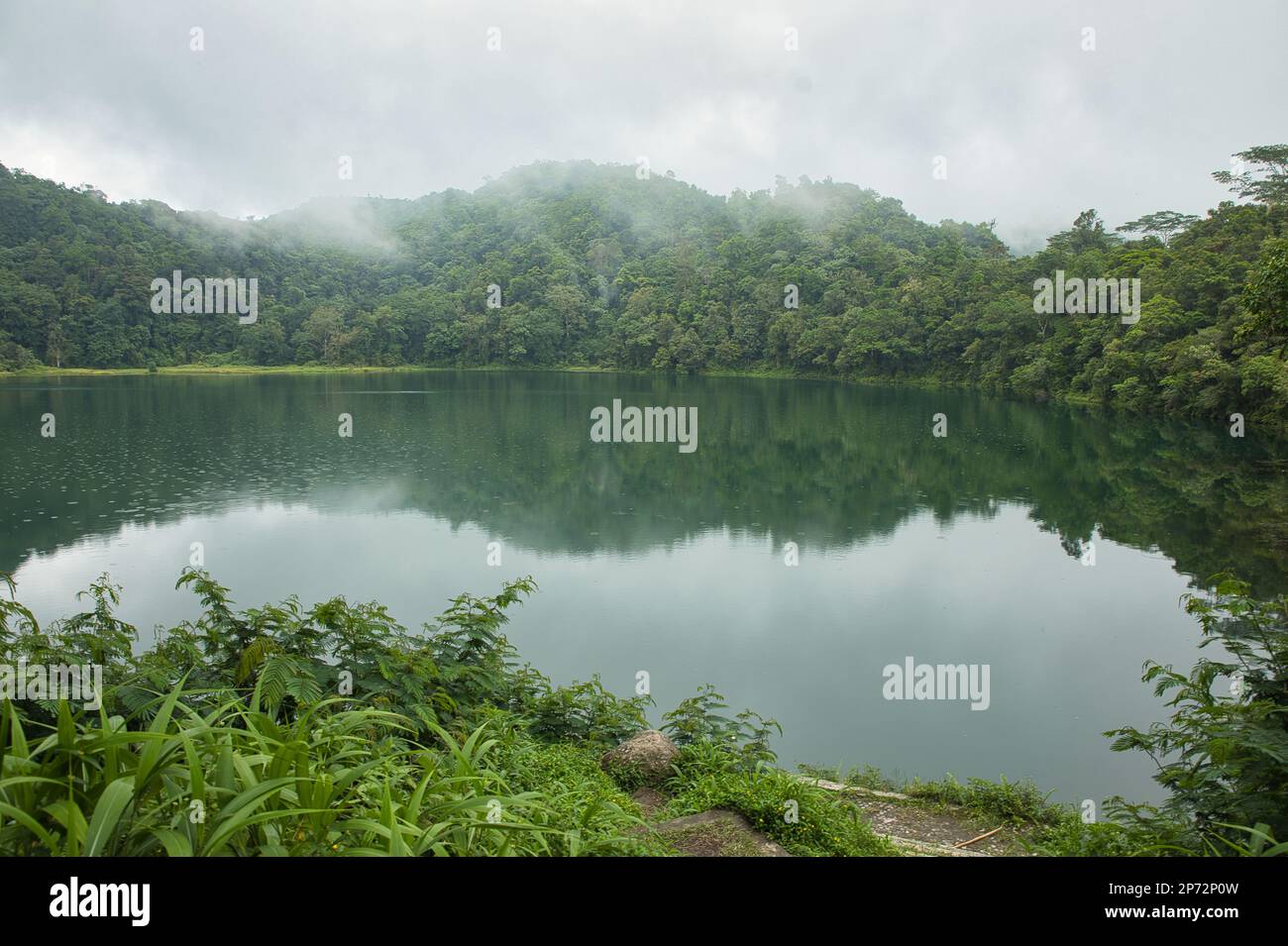 Idyllic shot of the green Rana Mese lake on Flores, surrounded by ...