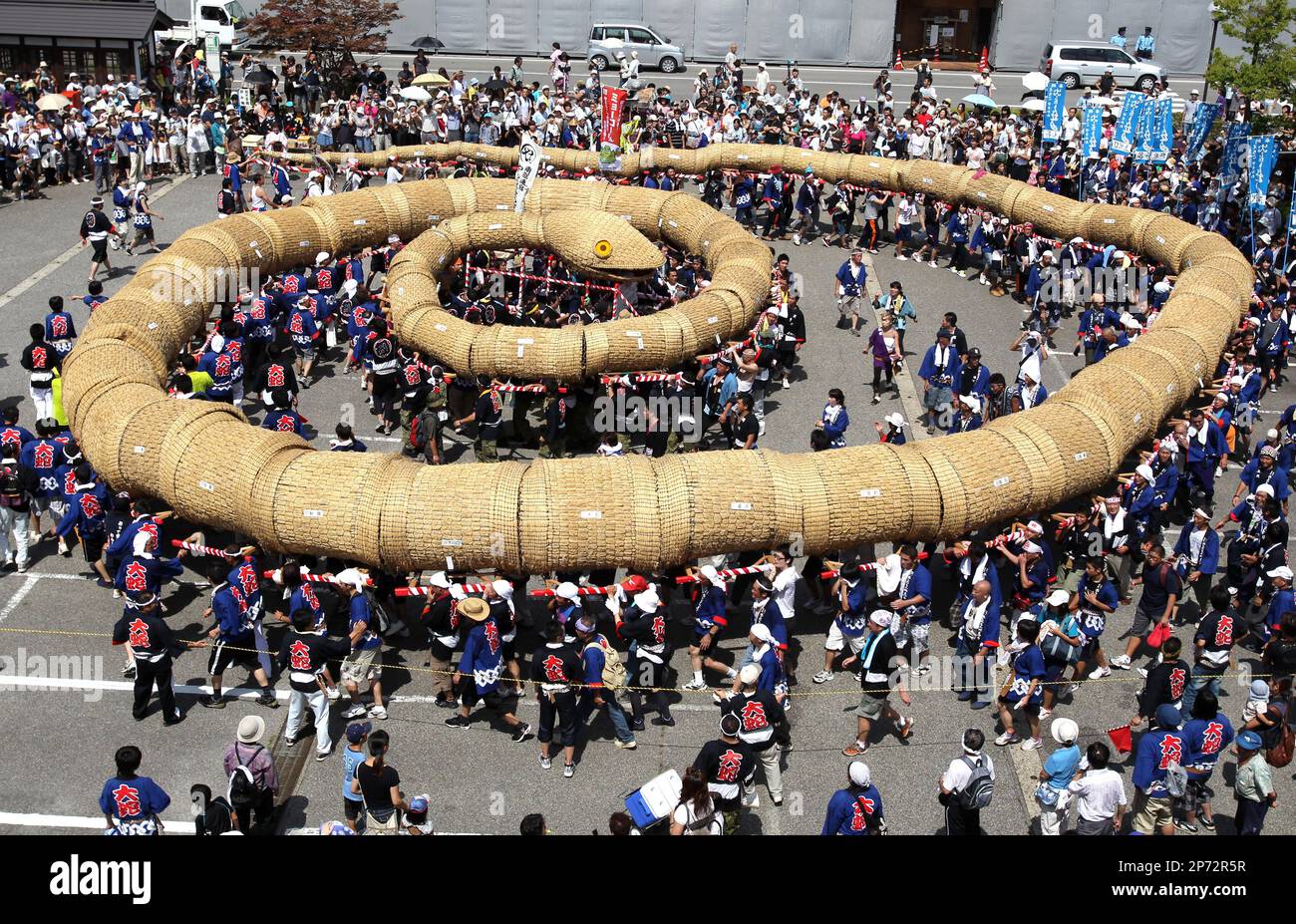 The world-longest 82.8-meter bamboo and straw serpent coils up during ...
