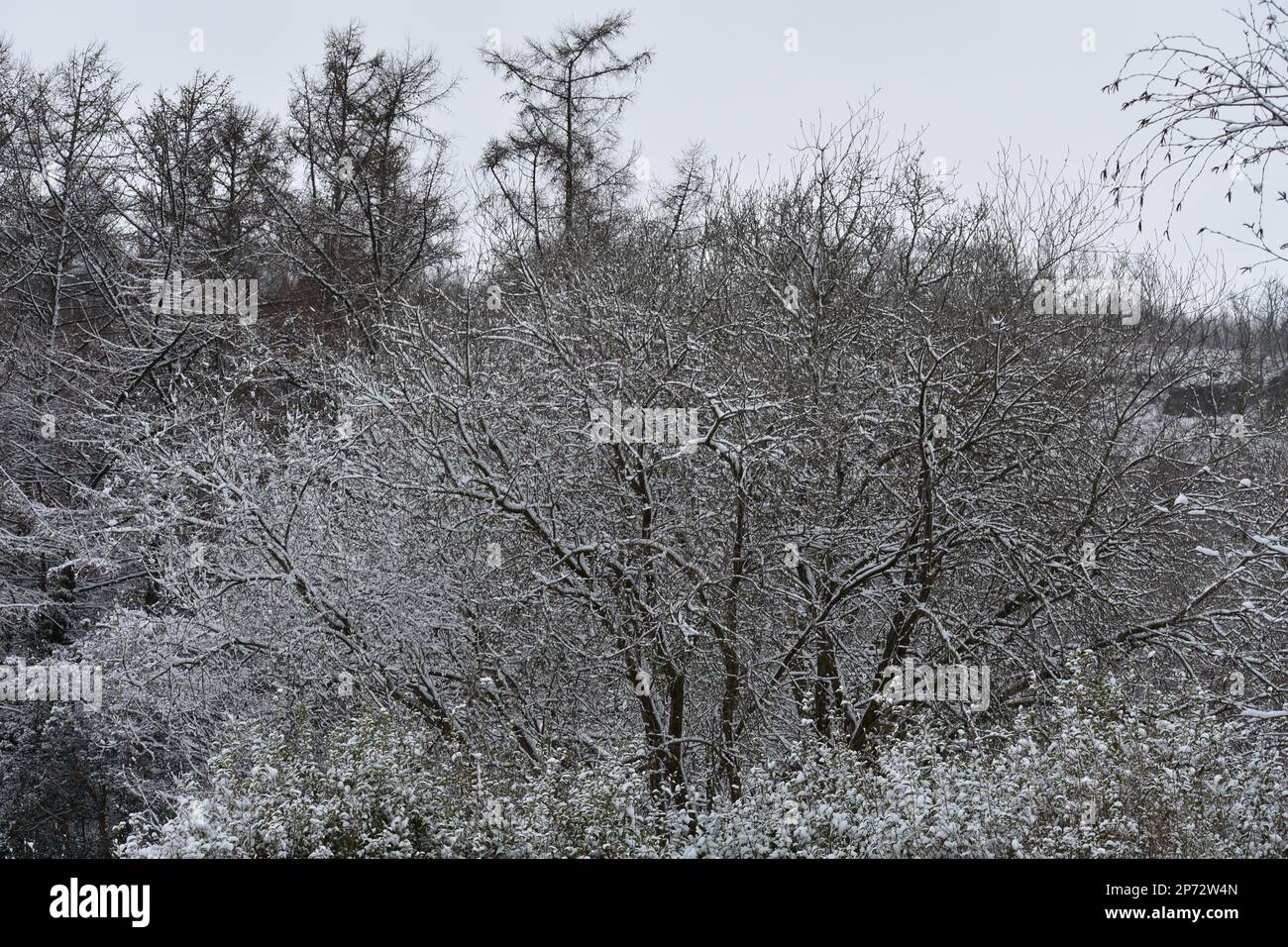 Seasonal snow hi-res stock photography and images - Alamy