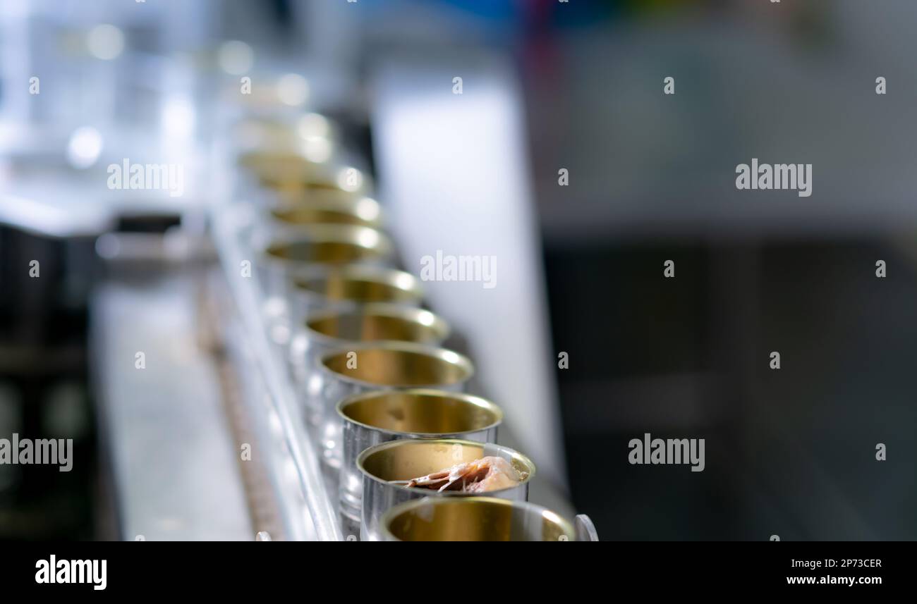 Canned fish factory. Food industry. Many can of sardines on a conveyor ...