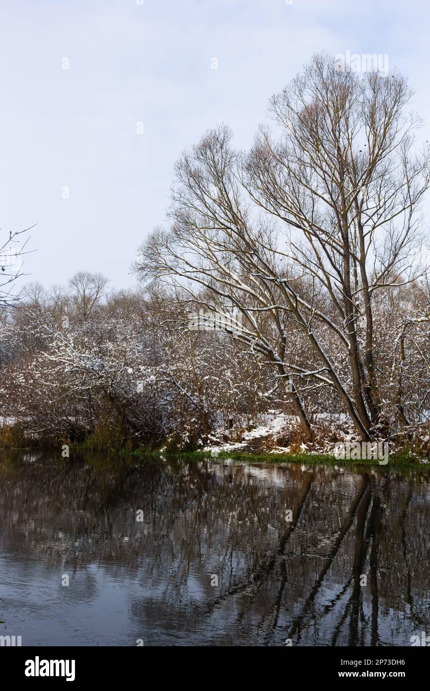 The river flows through the forest. In late fall in the forest the ...