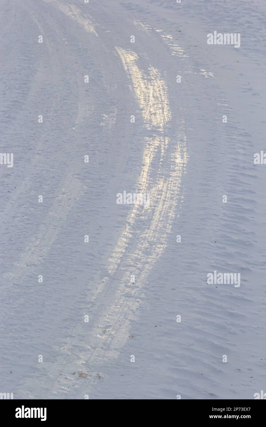 Snow covered path through trees with winter sun hi-res stock ...
