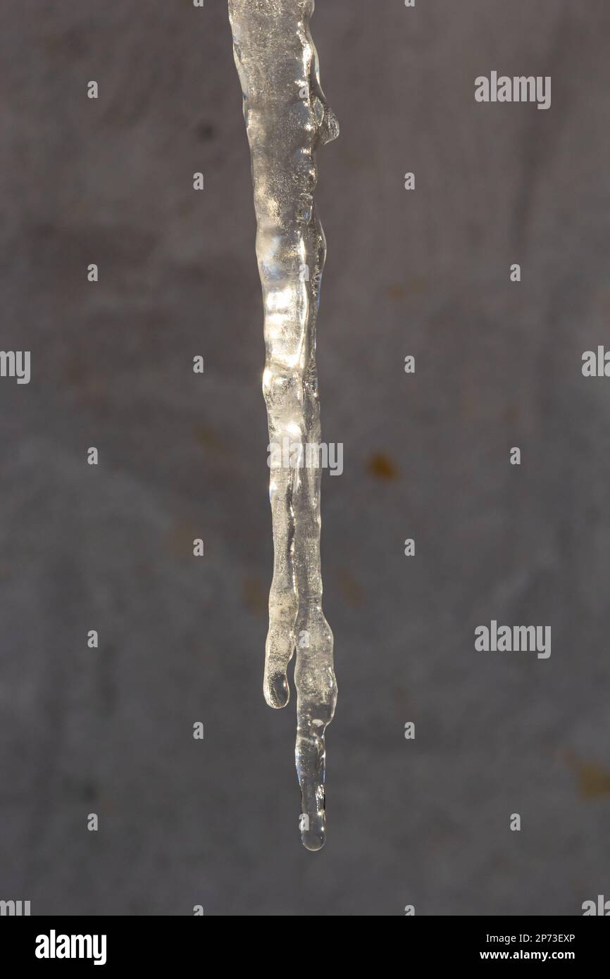 Sharp icicles and melted snow hanging from the eaves of the roof ...