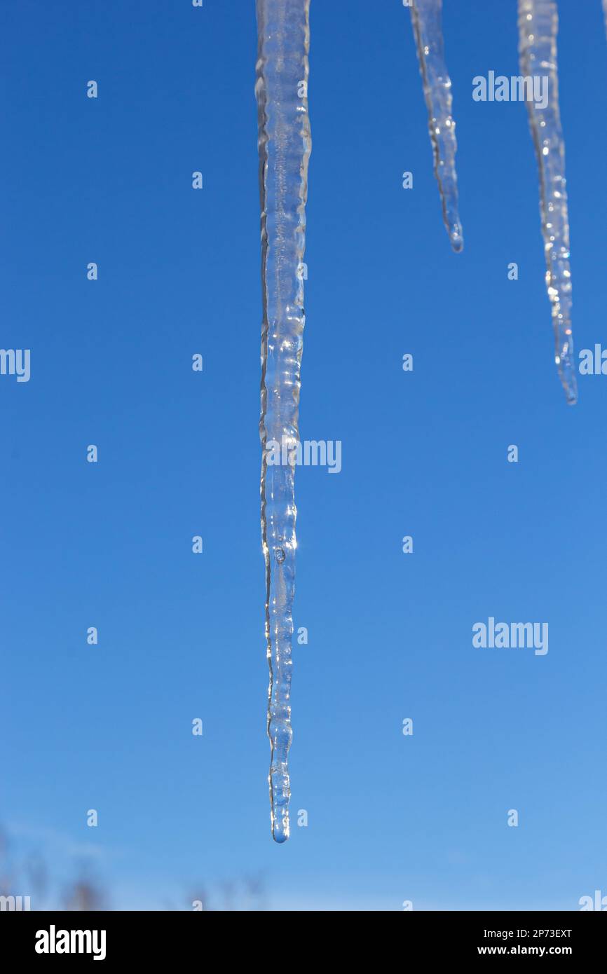 Sharp icicles and melted snow hanging from eaves of roof. Beautiful ...
