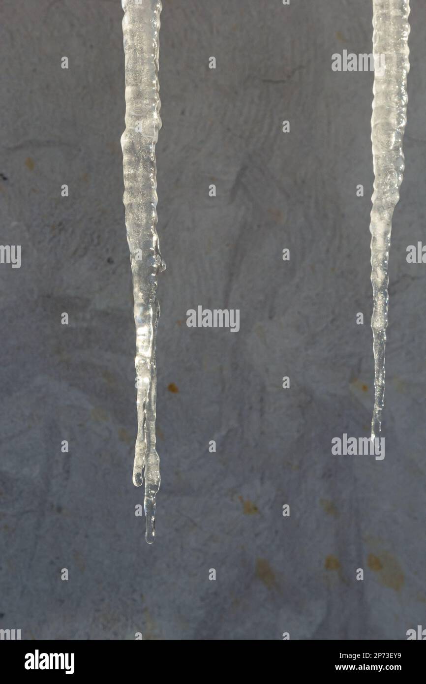 Sharp icicles and melted snow hanging from eaves of roof. Beautiful ...