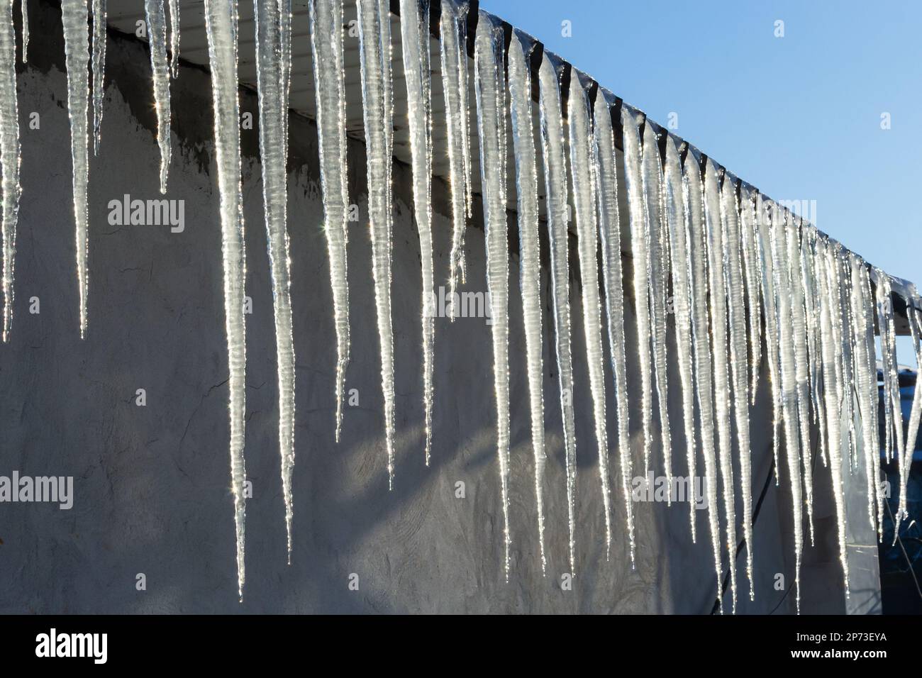 Sharp icicles and melted snow hanging from the eaves of the roof ...