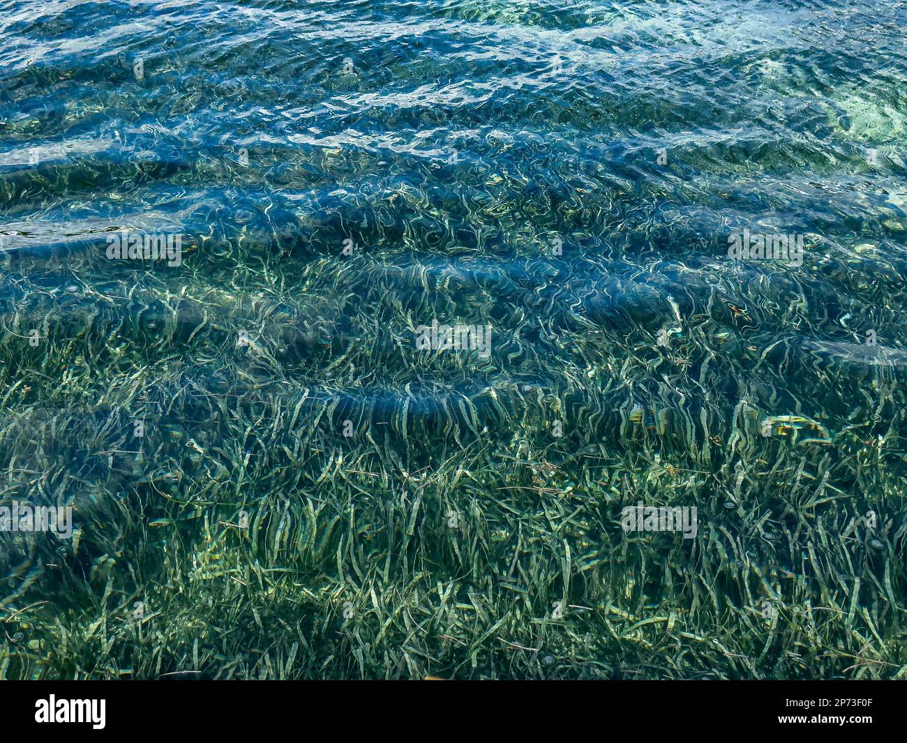 Abstract sea background, views on the rippled water surface, underwater ...