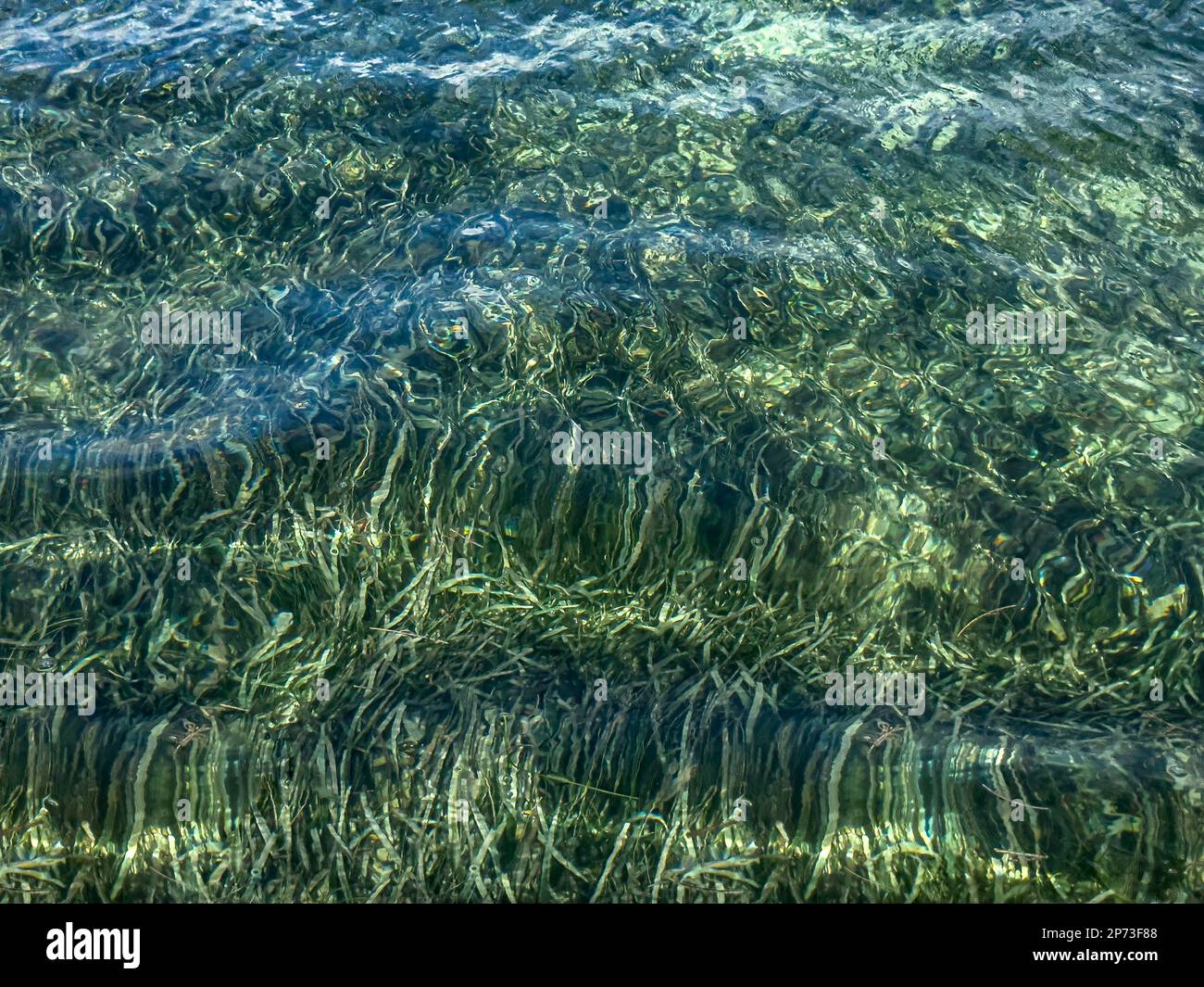 Abstract sea background, views on the rippled water surface, underwater ...