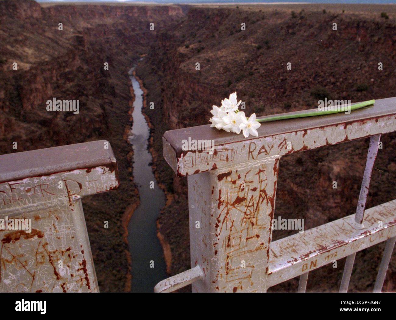 This flower was placed on the Taos Gorge Bridge the morning after ...