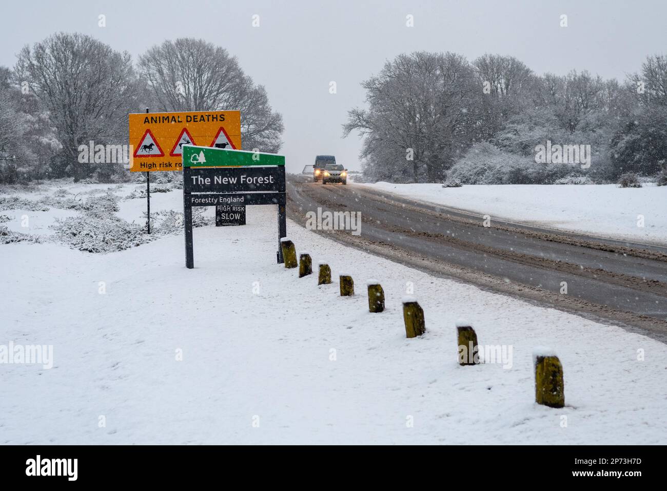 Traffic in snow, Godshill, New Forest, Hampshire, England, UK, 8th ...