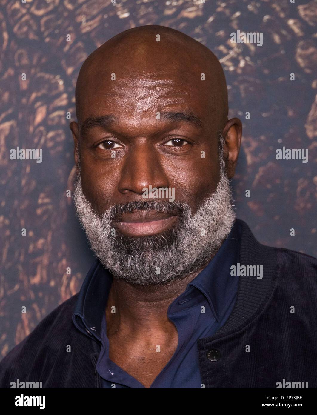 Steve Toussaint arrives at a For Your Consideration event for "House of ...