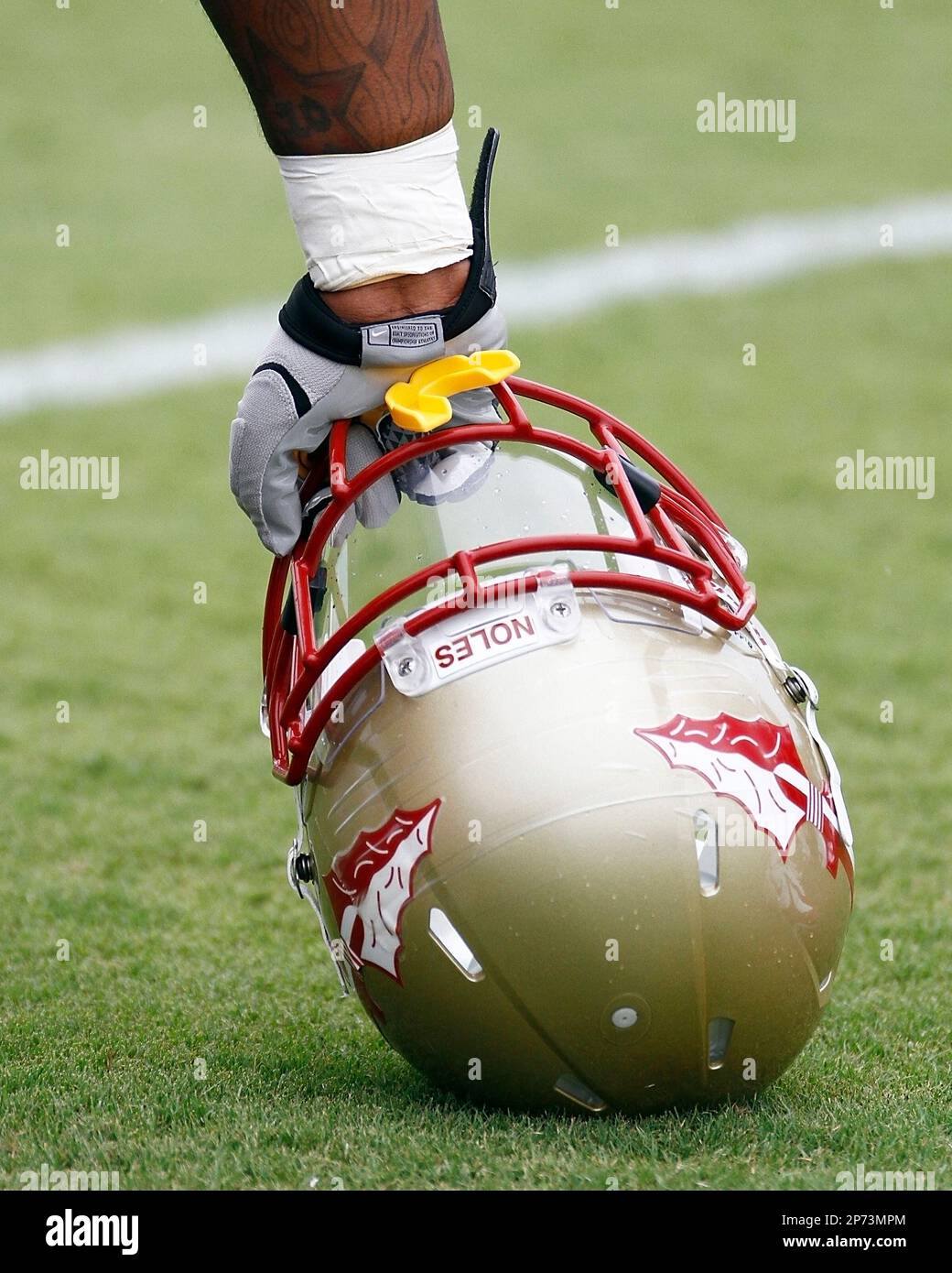 Florida state helmet hi-res stock photography and images - Alamy