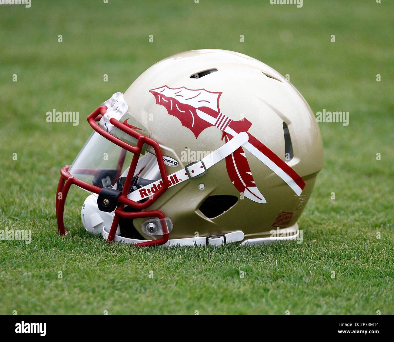 Florida state helmet hi-res stock photography and images - Alamy