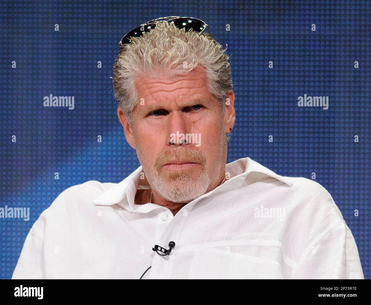 BEVERLY HILLS, CA - AUGUST 6: Actor Ron Perlman participates in FX's ...