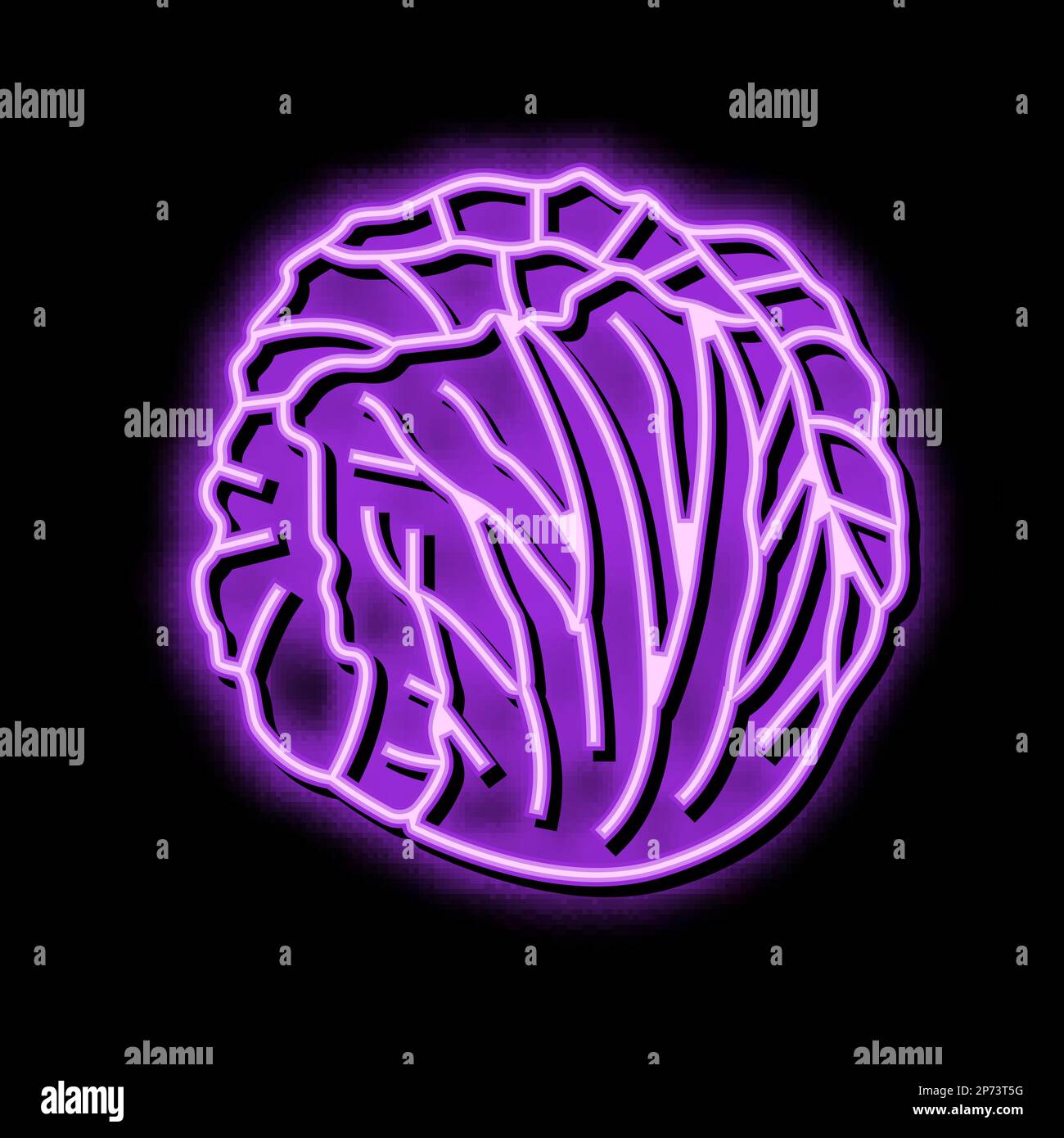 Green radicchio Stock Vector Images - Alamy