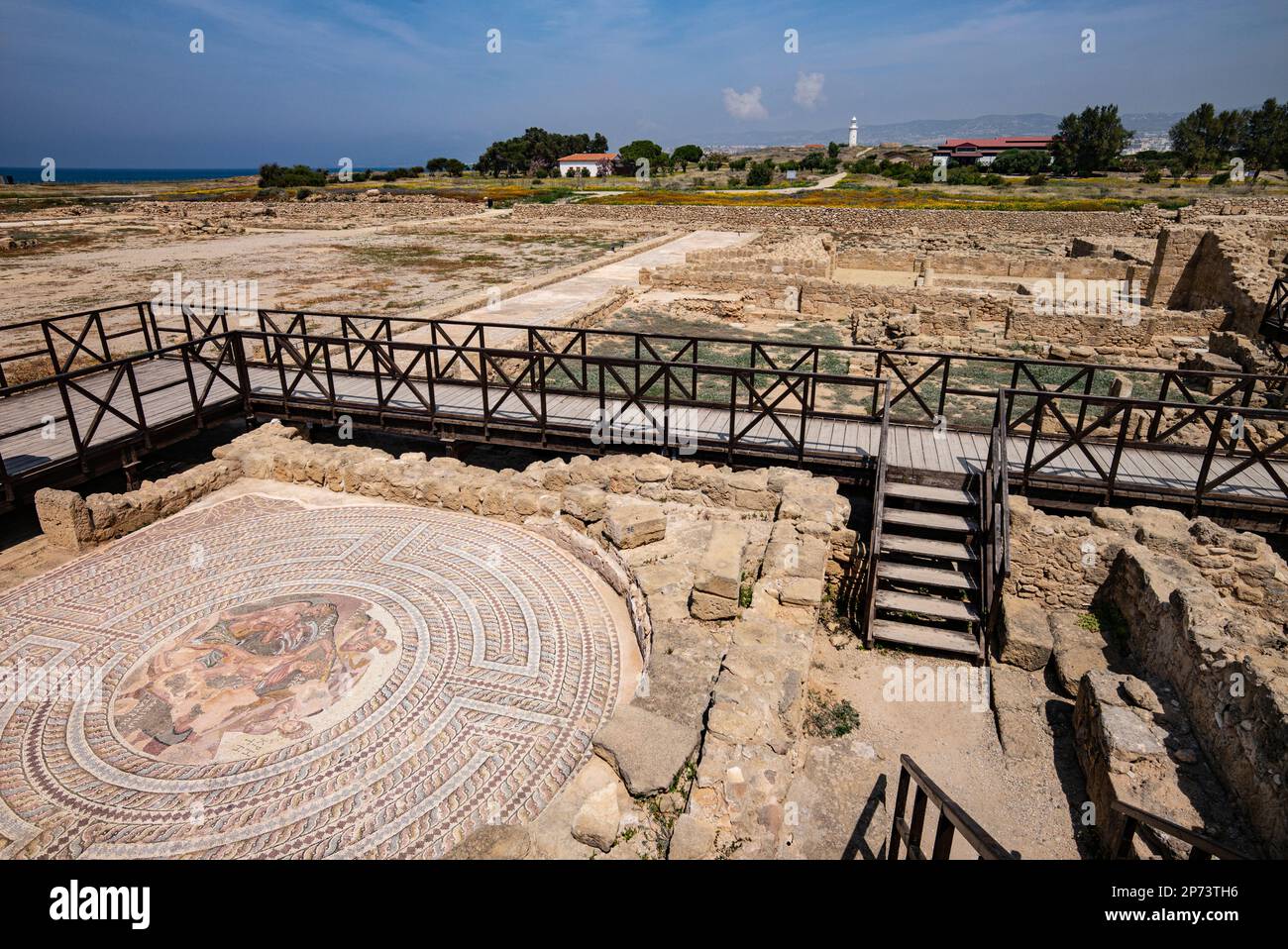 Theseus Mosaic at Paphos Archaeological Park, Cyprus Stock Photo - Alamy