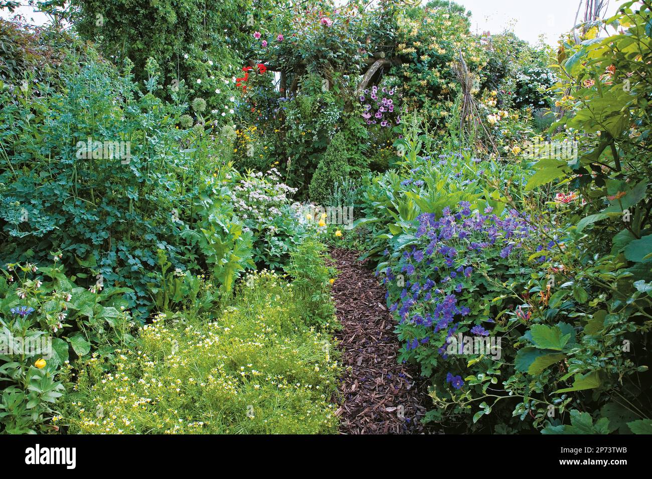 Wood chip path divides two cottage garden borders Stock Photo - Alamy