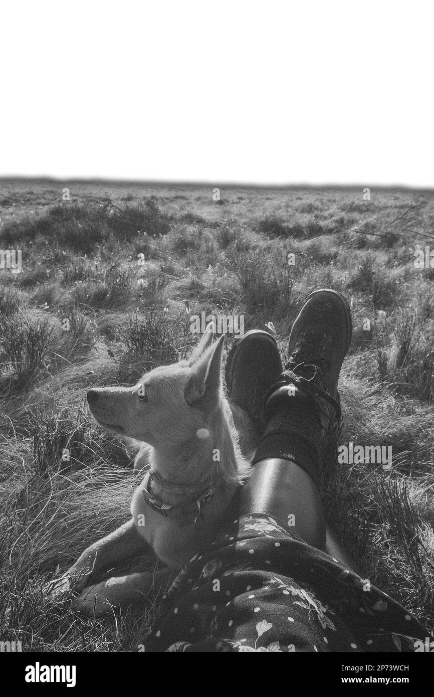 Adorable dog lying near crossed traveller legs isolated JPG hand drawn ...