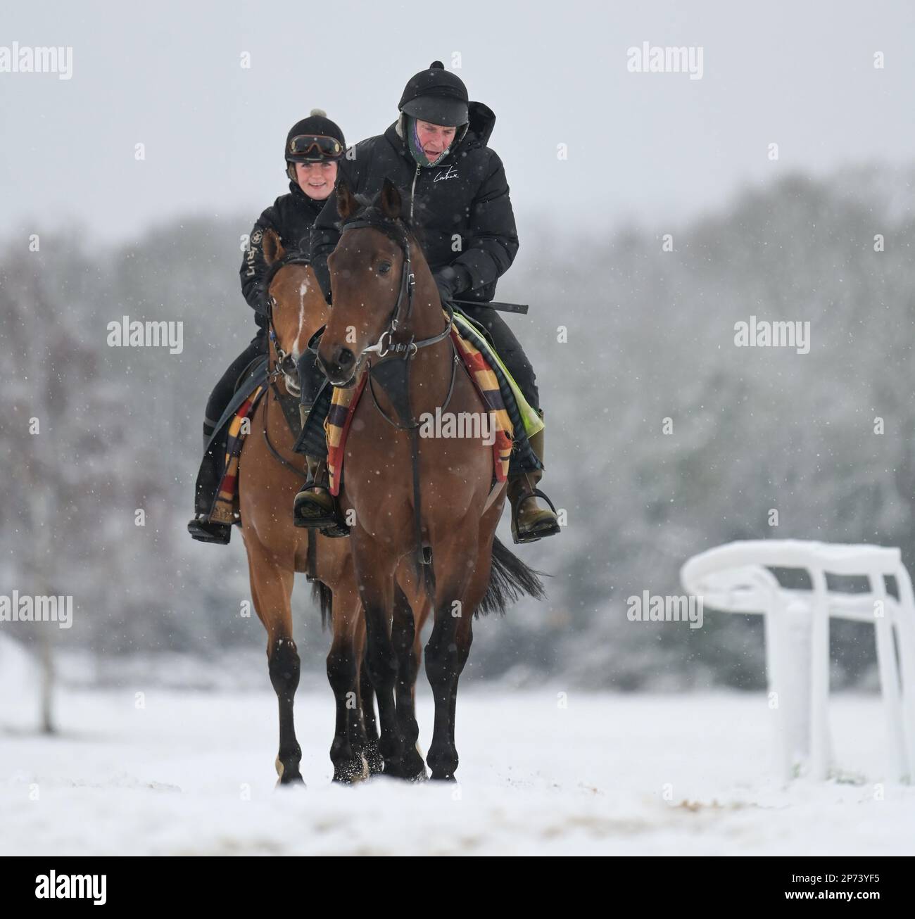 Epsom Downs, England. 8 March, 2023. Race Horses from the Epsom Stables ...