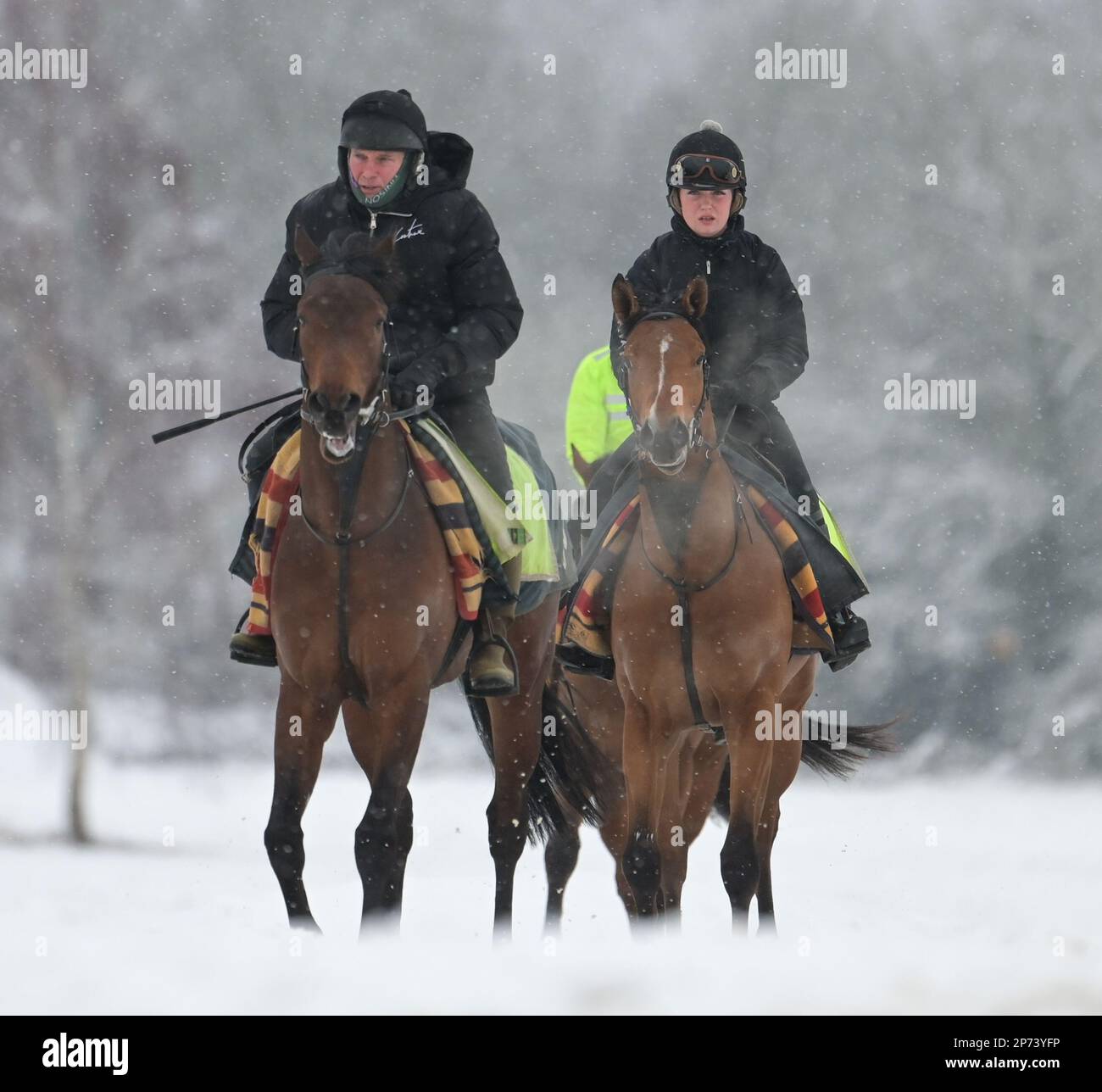 Epsom Downs, England. 8 March, 2023. Race Horses from the Epsom Stables ...
