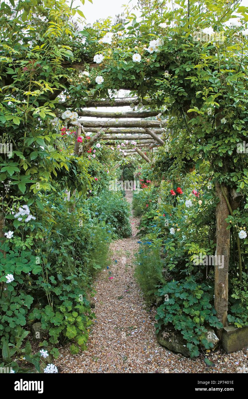 Alternating dense and light planting along a wooden pergola Stock Photo ...