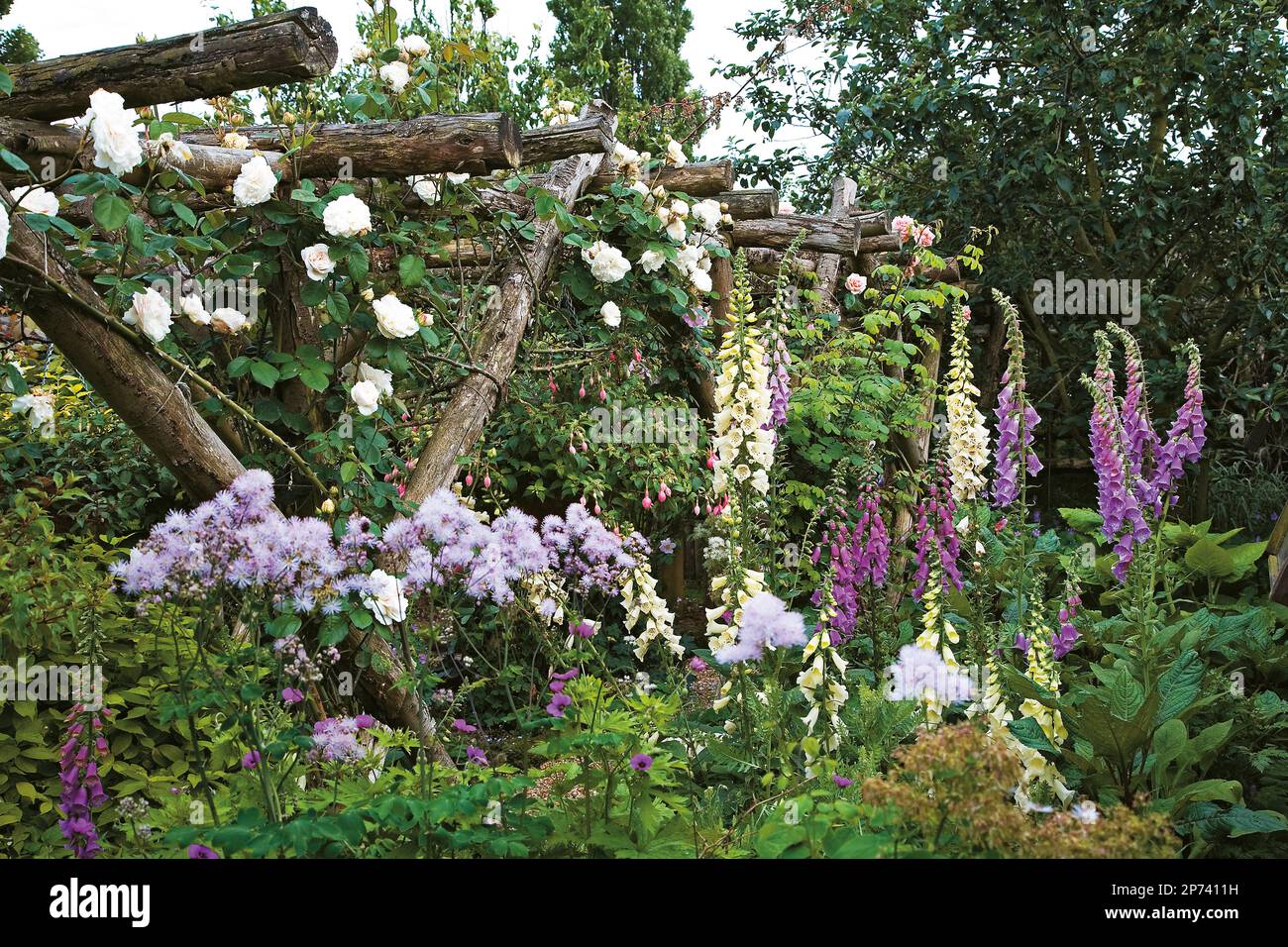English cottage garden border Stock Photo - Alamy