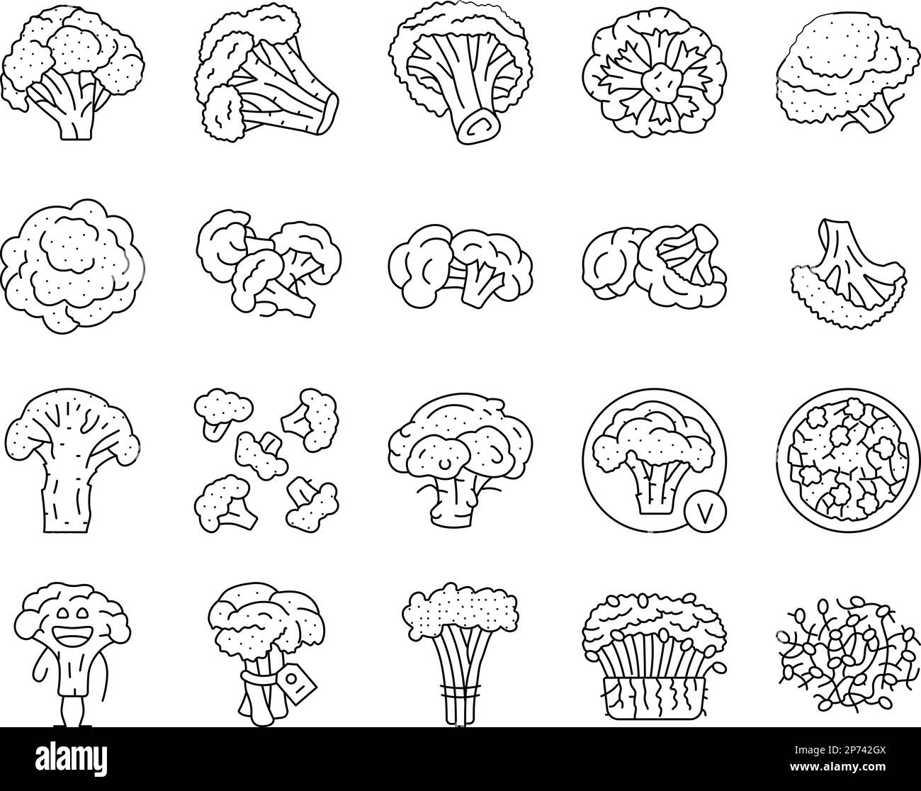 Bunch of cabbage Black and White Stock Photos & Images - Alamy