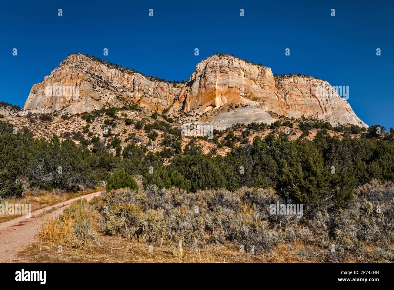 White Cliffs,Skutumpah Terrace, at Johnson Canyon Road (501), Grand ...