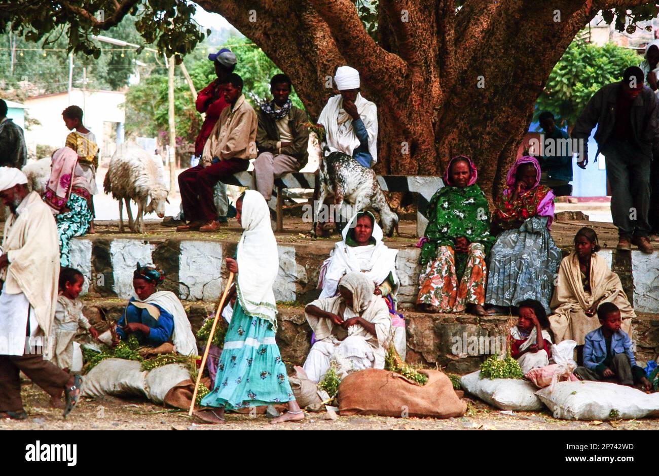 Lalibela, Ethiopia - June 24, 1998: people watch the morning ceremony ...