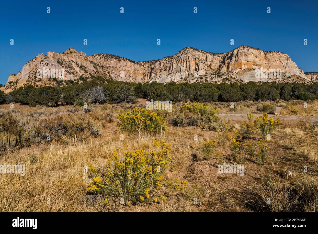 White Cliffs, Skutumpah Terrace, at Johnson Canyon Road (501 ...