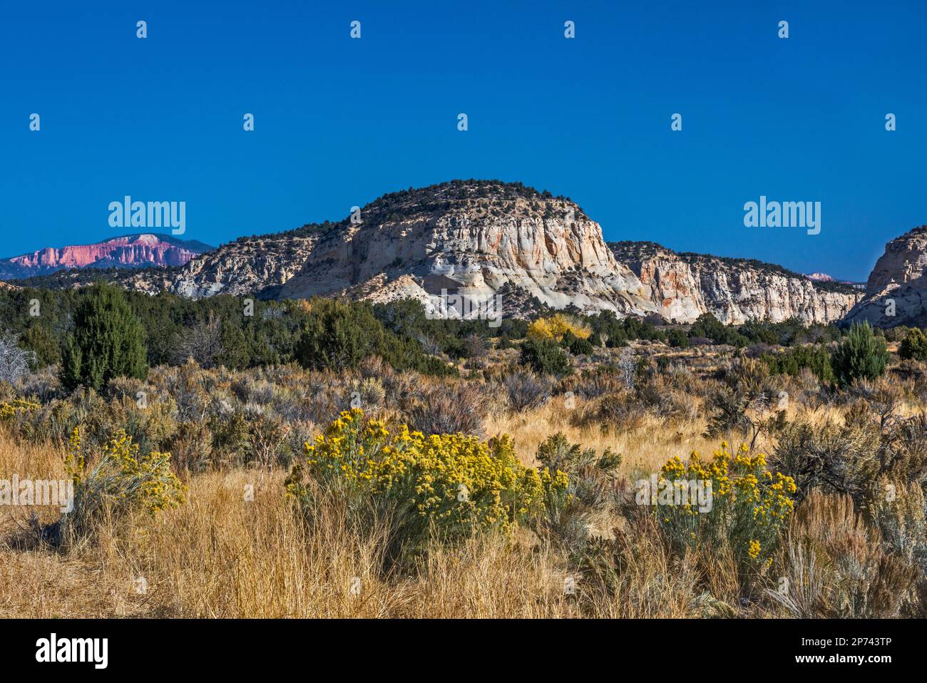 Mark Point, Johnson Canyon Rd, Skutumpah Terrace, Pink Cliffs at ...